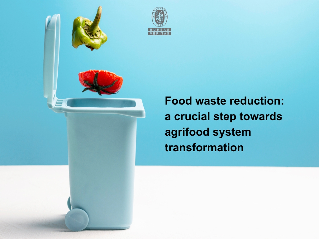 Food waste reduction: a crucial step towards agrifood system ...